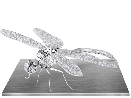 Metal Dragonfly 3D model kit - nātür showroom - Museum quality insects ...