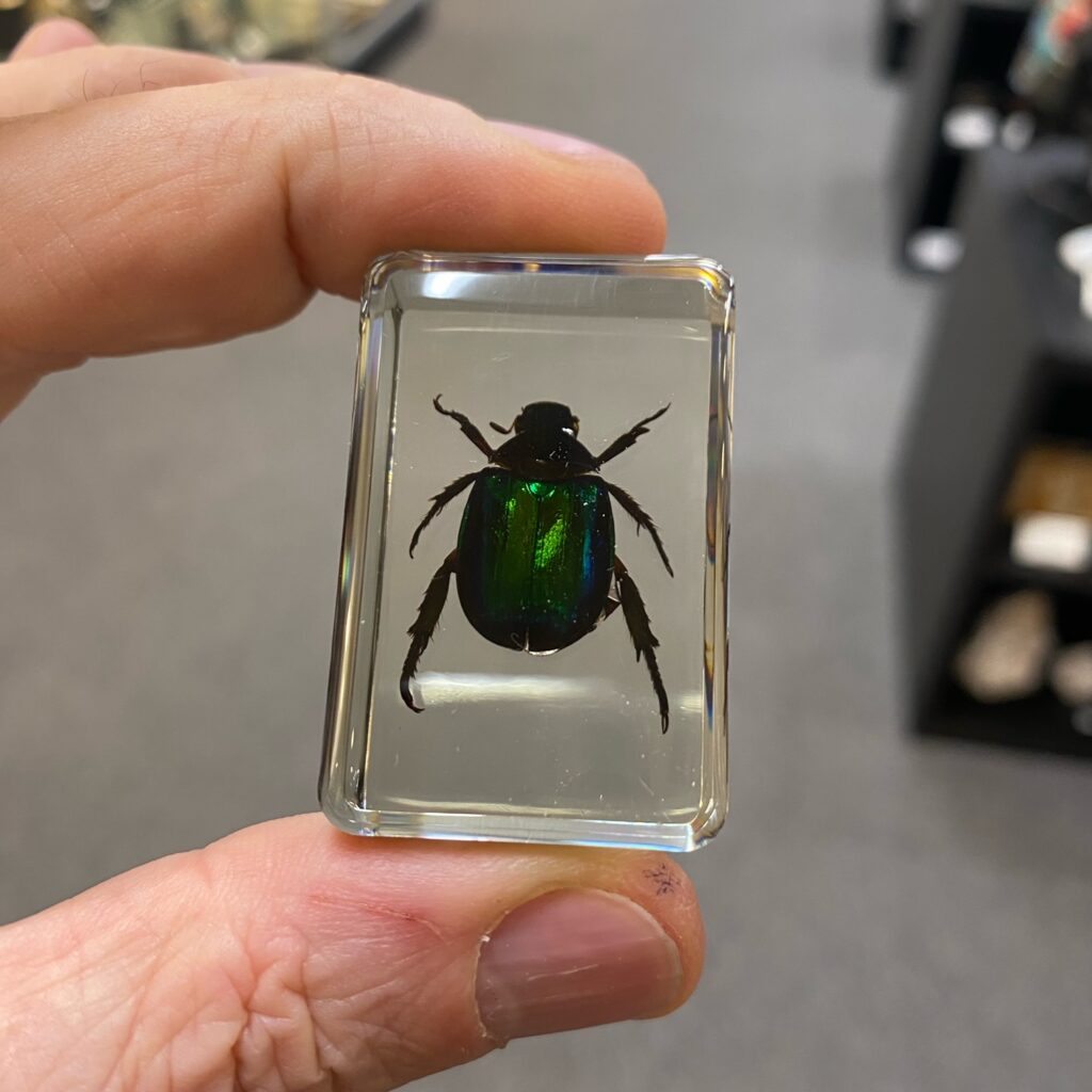 Acrylic block with a real Colorful Scarab Beetle. A1 - nātür showroom ...