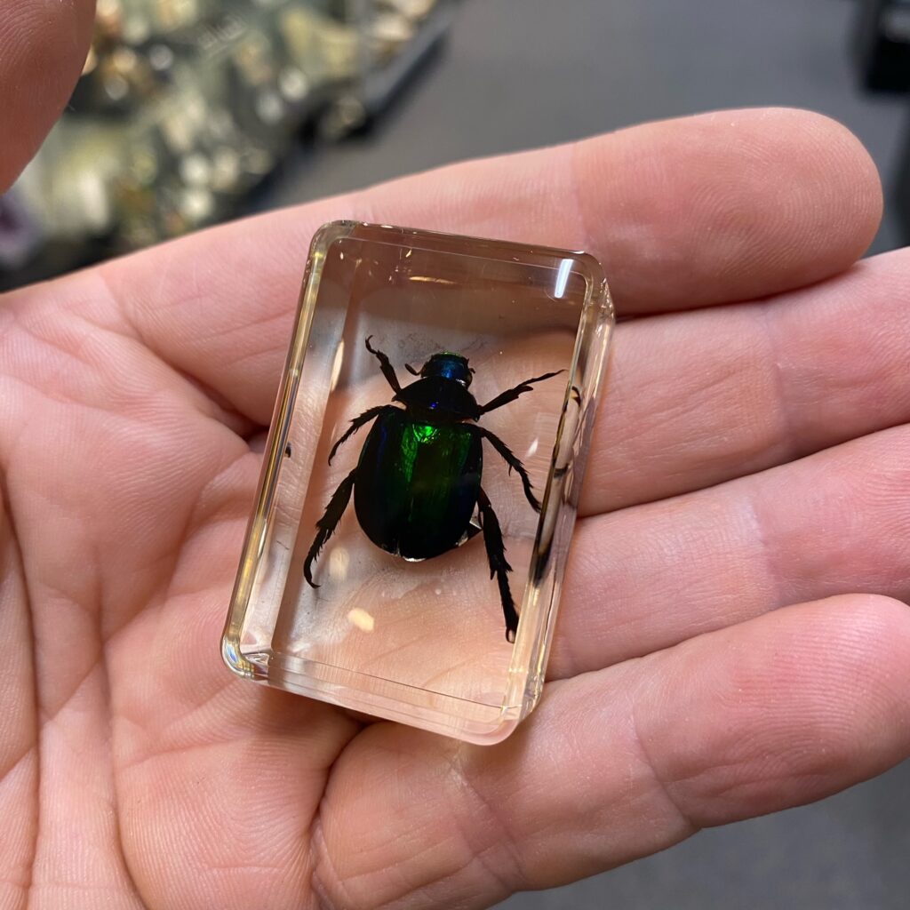 Acrylic block with a real Colorful Scarab Beetle. A1 - nātür showroom ...